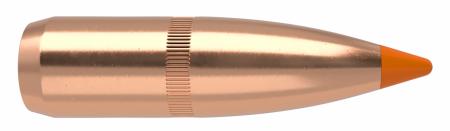 100 ogives Nosler Ballistic Tip Varmint calibre 22 (.224) 60 gr / 3.9 g